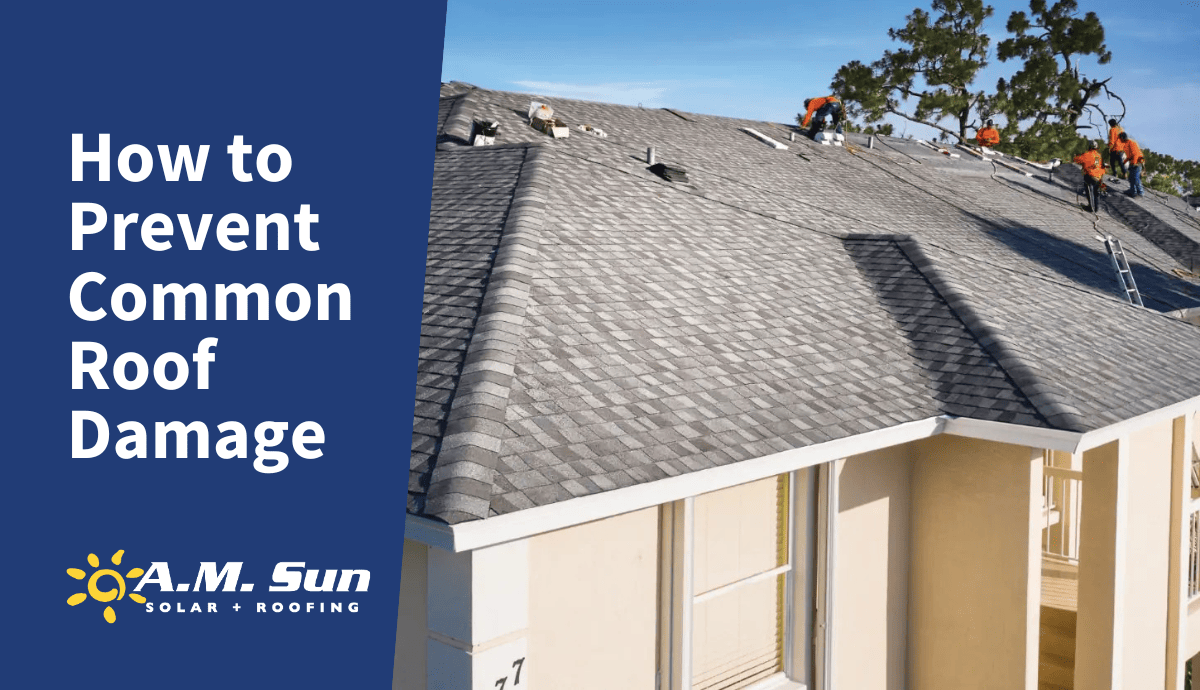How To Prevent Common Roof Damage – A Guide for San Luis Obispo County ...